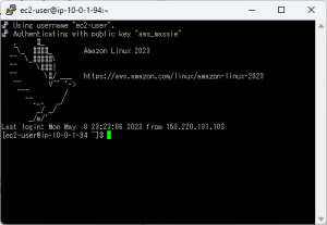 AWS：Amazon Linux 2023にApache,PHP,MariaDBを構築してみる - massie's programming